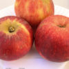 Tasting 77 California-Grown Apple Varieties | California Rare Fruit Growers