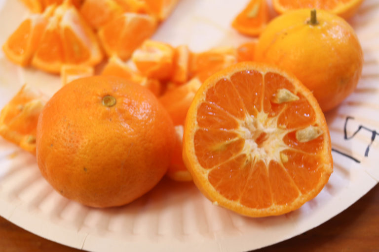 Dancy Mandarin | California Rare Fruit Growers