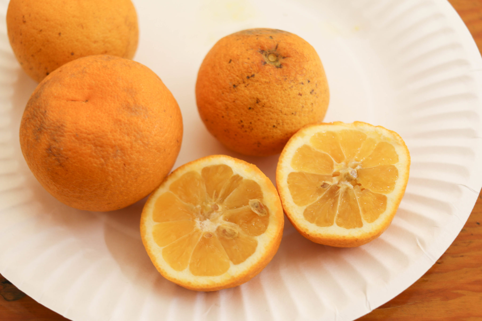 Snow Lemon | California Rare Fruit Growers